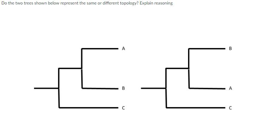 Solved Do the two trees shown below represent the same or | Chegg.com