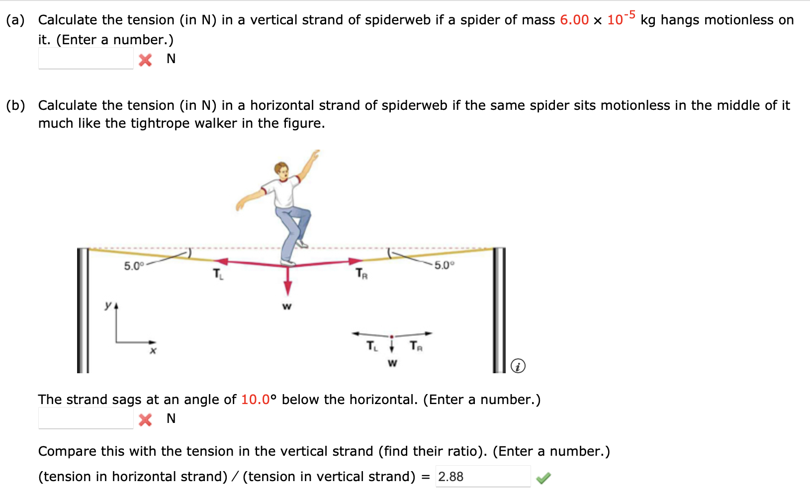 Solved a) Calculate the tension (in N ) in a vertical strand | Chegg.com