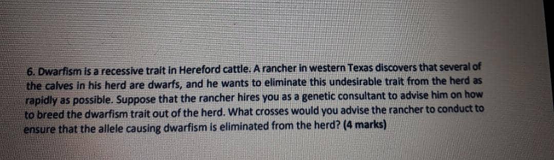 Solved 6. Dwarfism is a recessive trait in Hereford cattle. | Chegg.com