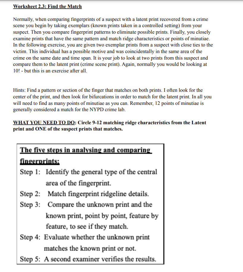 Worksheet 2.2: Identifying Points of Minutiae | Chegg.com Worksheet 2.2: Identifying Points of Minutiae | Chegg.com