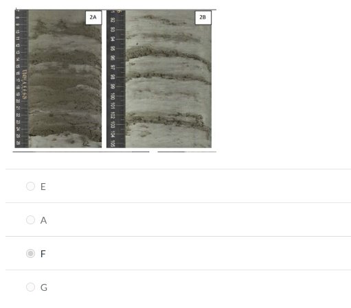 Solved A. Description: Volcanic Ash. Layers of | Chegg.com
