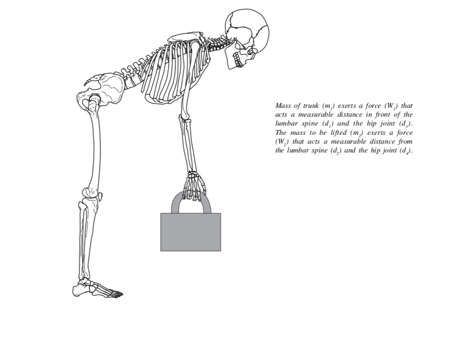 Solved The illustration below depicts key components of the | Chegg.com