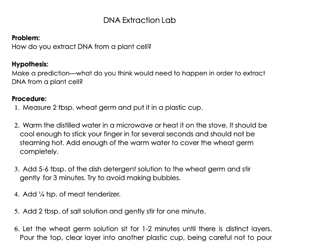 Solved DNA Extraction Lab Problem: How do you extract DNA | Chegg.com