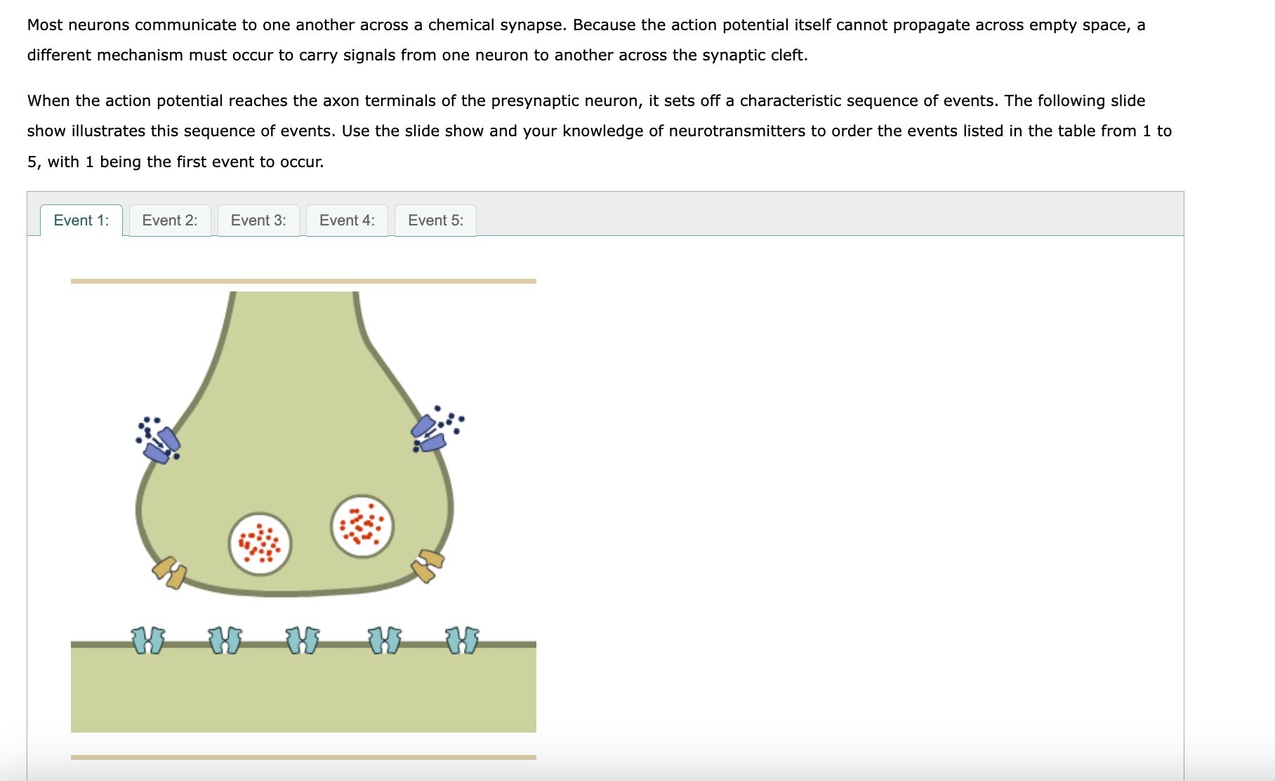 Solved Most neurons communicate to one another across a | Chegg.com