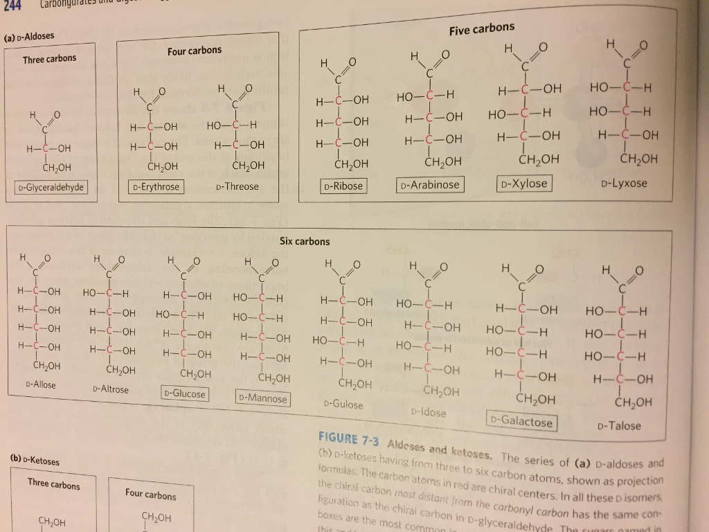Solved 1. Draw out the Fischer projections for D-Allose, | Chegg.com