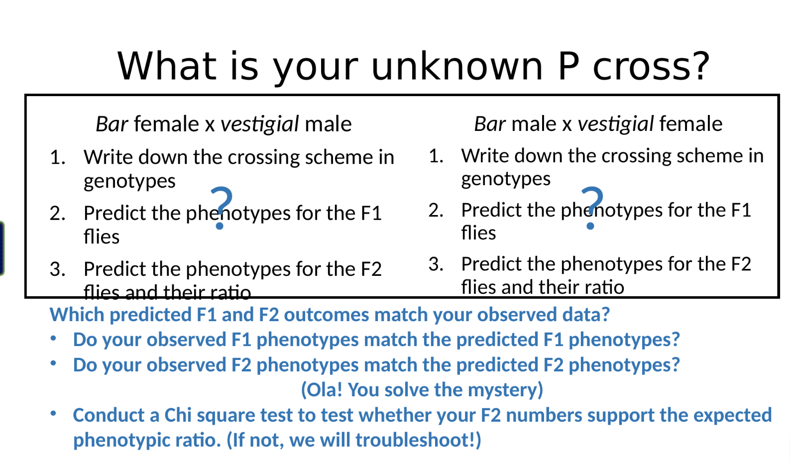Solved What is your unknown P cross? | Chegg.com