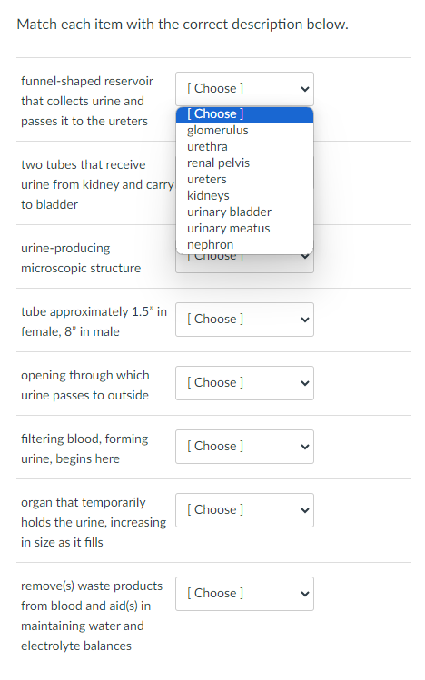 Solved Match each item with the correct description | Chegg.com