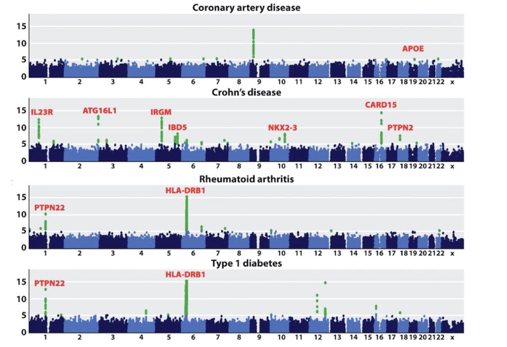 Solved The figure below shows the results from a GWAS study | Chegg.com