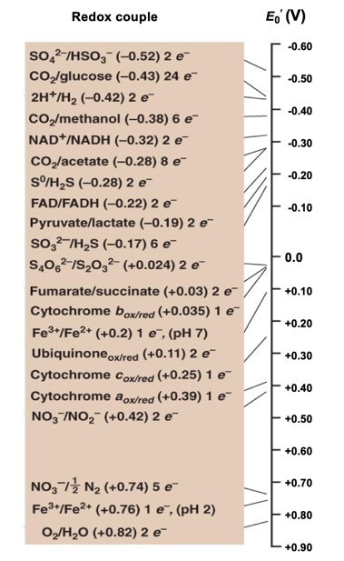 Solved Refer to the electron tower in the lecture to answer | Chegg.com