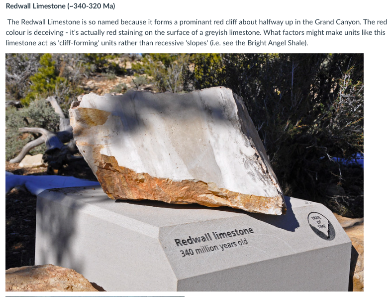 Solved Redwall Limestone (-340-320 Ma) The Redwall Limestone | Chegg.com