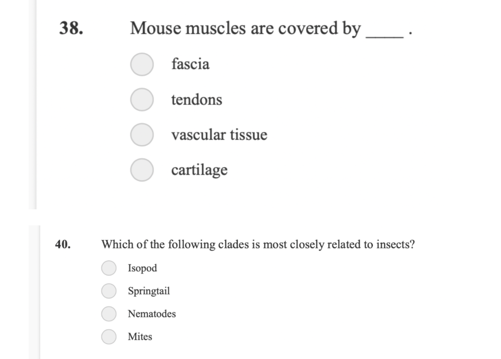 Solved 38. Mouse muscles are covered by fascia tendons | Chegg.com