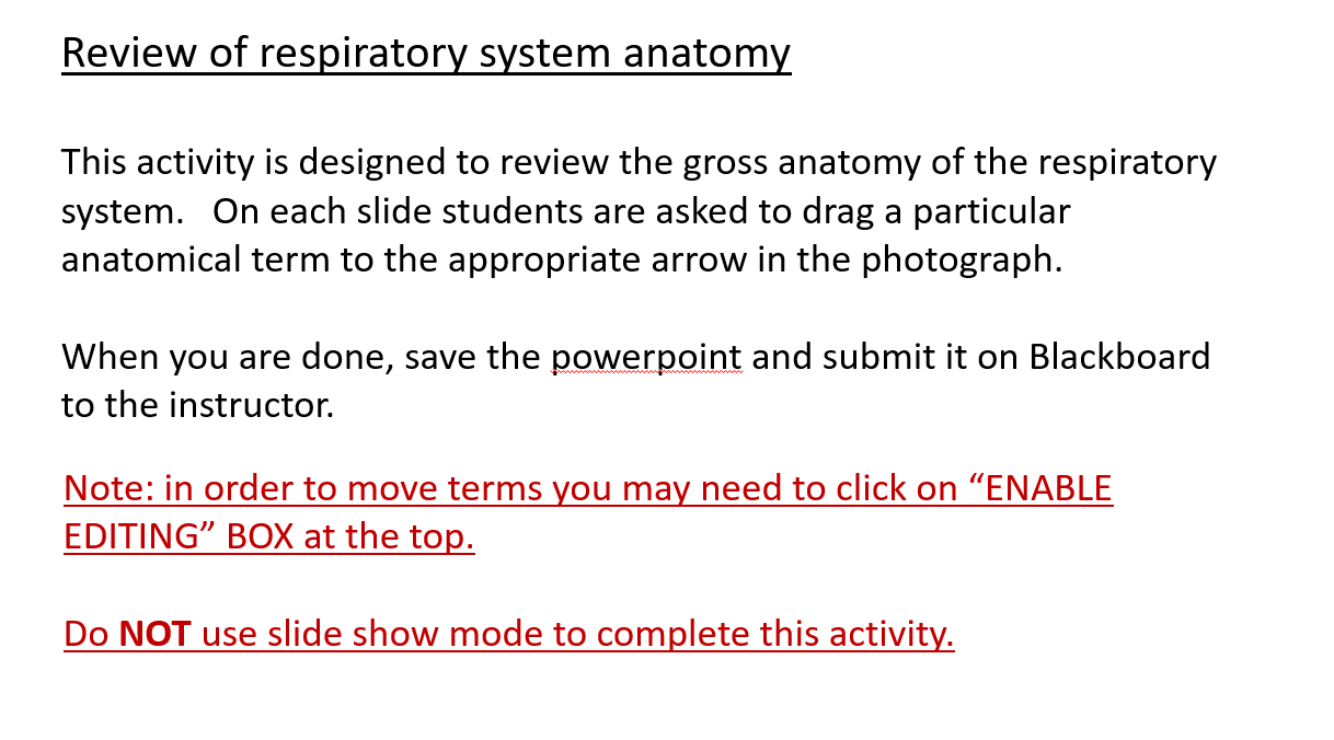 Review of respiratory system anatomy This activity is | Chegg.com