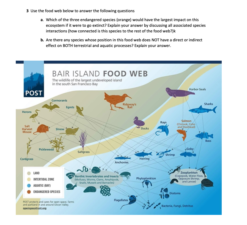 Solved 3 Use the food web below to answer the following | Chegg.com