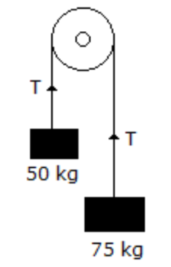 Solved Two loads of 50 kg and 75 kg are hung at the ends of | Chegg.com