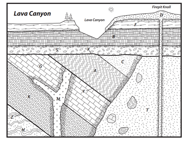 Solved List the sequence of events (from oldest to youngest) | Chegg.com
