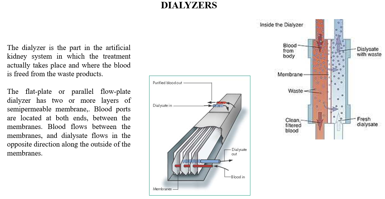 Solved DIALYZERS Inside the Dialyzer Blood from body | Chegg.com
