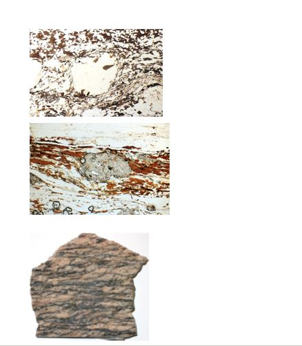 Solved For the figures below identify whether the | Chegg.com