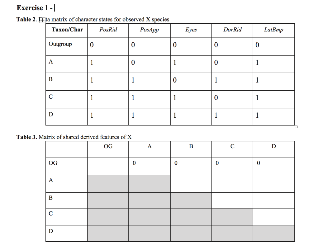 Solved Exercise 1 - 1 Table 2. #ta matrix of character | Chegg.com