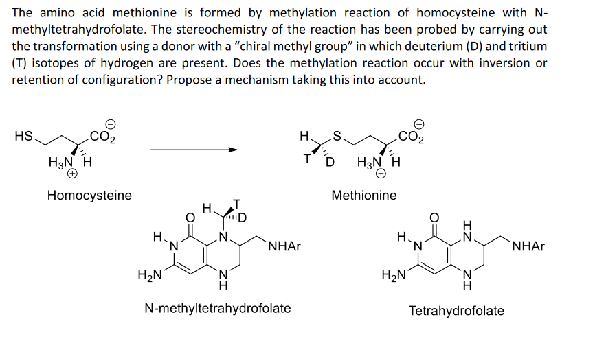 Solved The amino acid methionine is formed by methylation | Chegg.com
