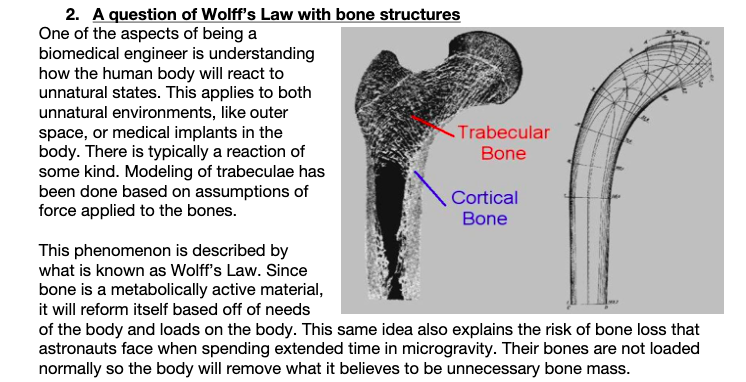 2. A question of Wolff's Law with bone structures One | Chegg.com