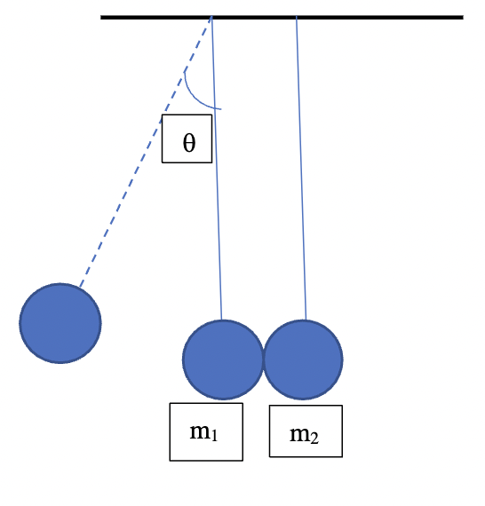 Solved Two pendulums of equal length l = 1.01 m are | Chegg.com