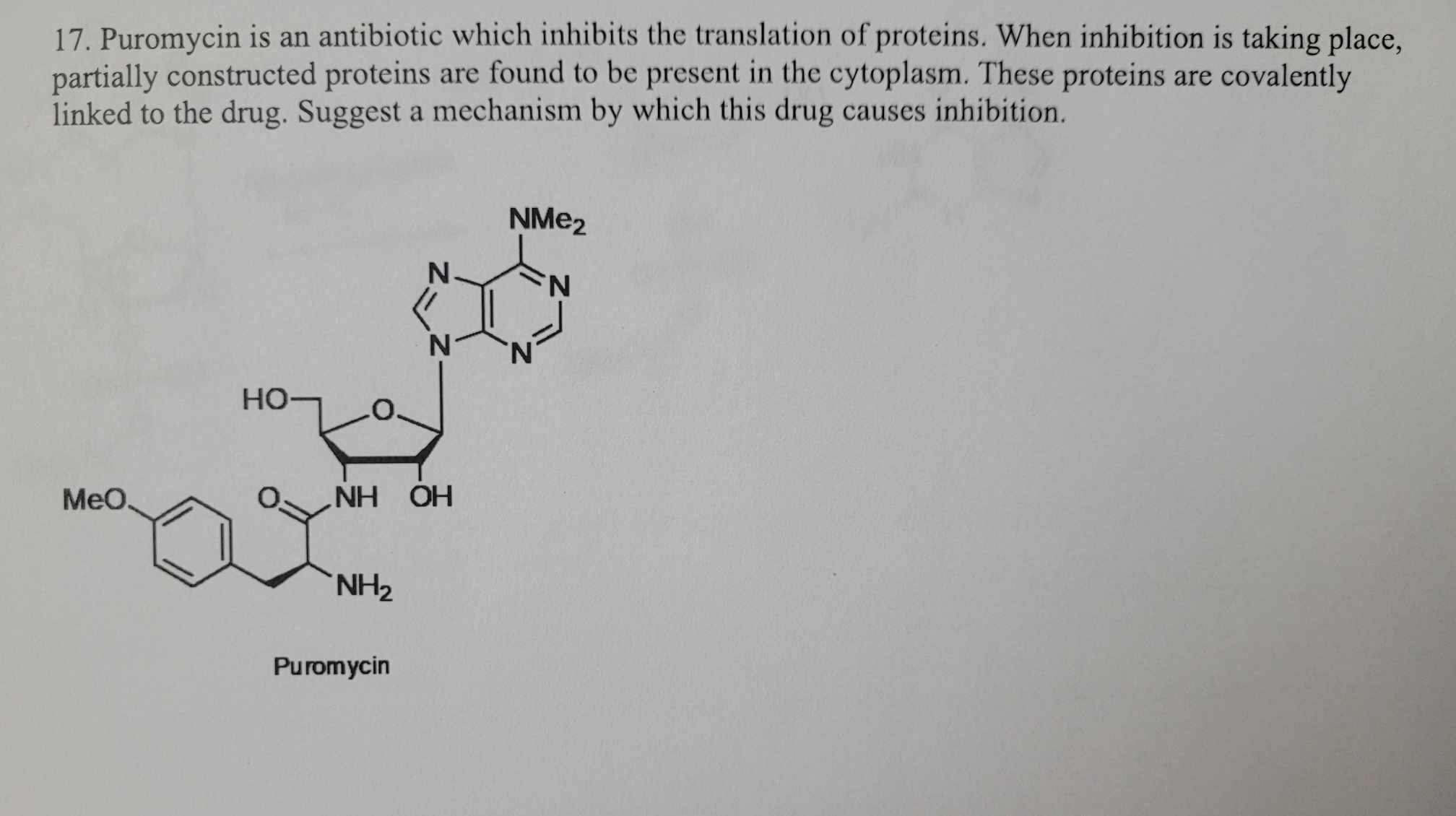 Solved Puromycin is an antibiotic which inhibits the | Chegg.com