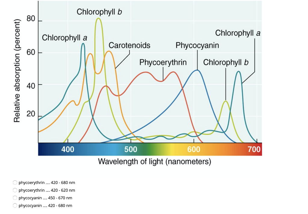 Solved Look at the graph and answer the following question. | Chegg.com