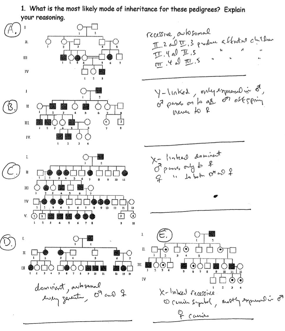 Solved 1. What is the most likely mode of inheritance for | Chegg.com