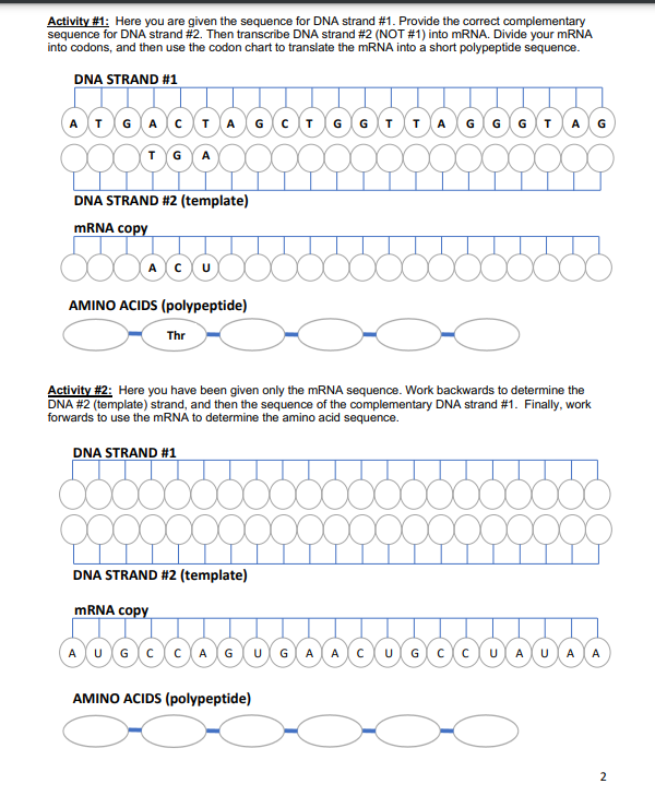 Solved Activity 1: Here you are given the sequence for DNA | Chegg.com