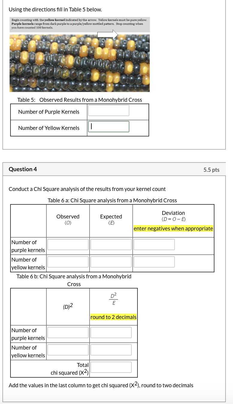 Solved Using the directions fill in Table 5 below. Begin | Chegg.com