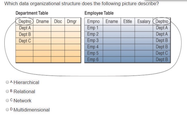 Solved Which data organizational structure does the | Chegg.com