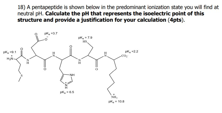 Solved 18) A pentapeptide is shown below in the predominant | Chegg.com