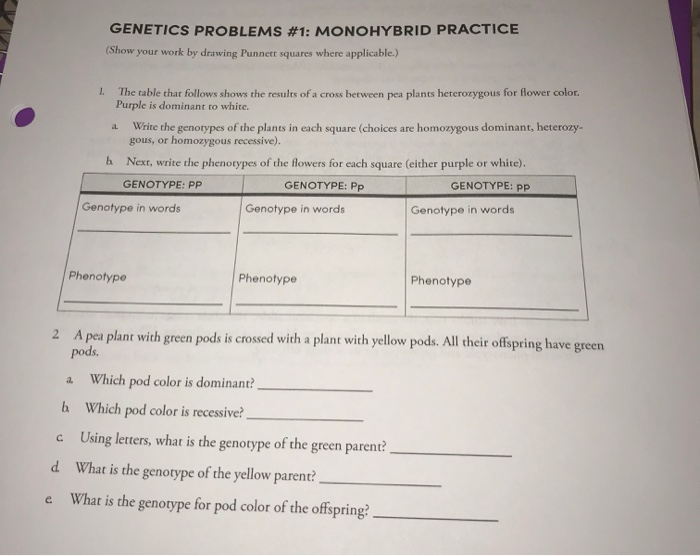 Solved GENETICS PROBLEMS #1: MONOHYBRID PRACTICE (Show your | Chegg.com