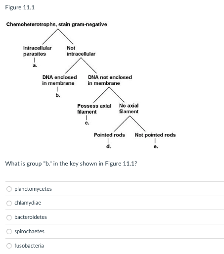Solved Which of the following pairs is mismatched? | Chegg.com