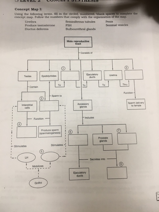 Solved Concept Map I: Using the following terms. fill in the | Chegg.com