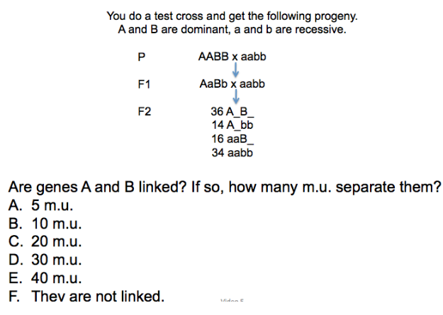 Solved You do a test cross and get the following progeny. A | Chegg.com
