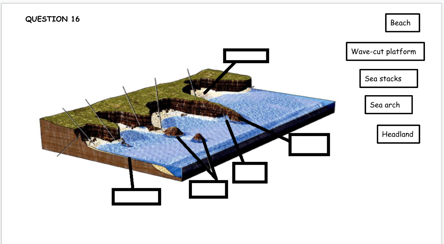 Solved QUESTION 16 Beach Wave-cut platform Sea stacks Sea | Chegg.com