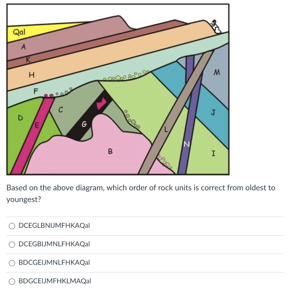 Solved Qal А M I F G N B I Based on the above diagram, which | Chegg.com