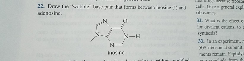 Solved 22. Draw the "wobble" base pair that forms between | Chegg.com