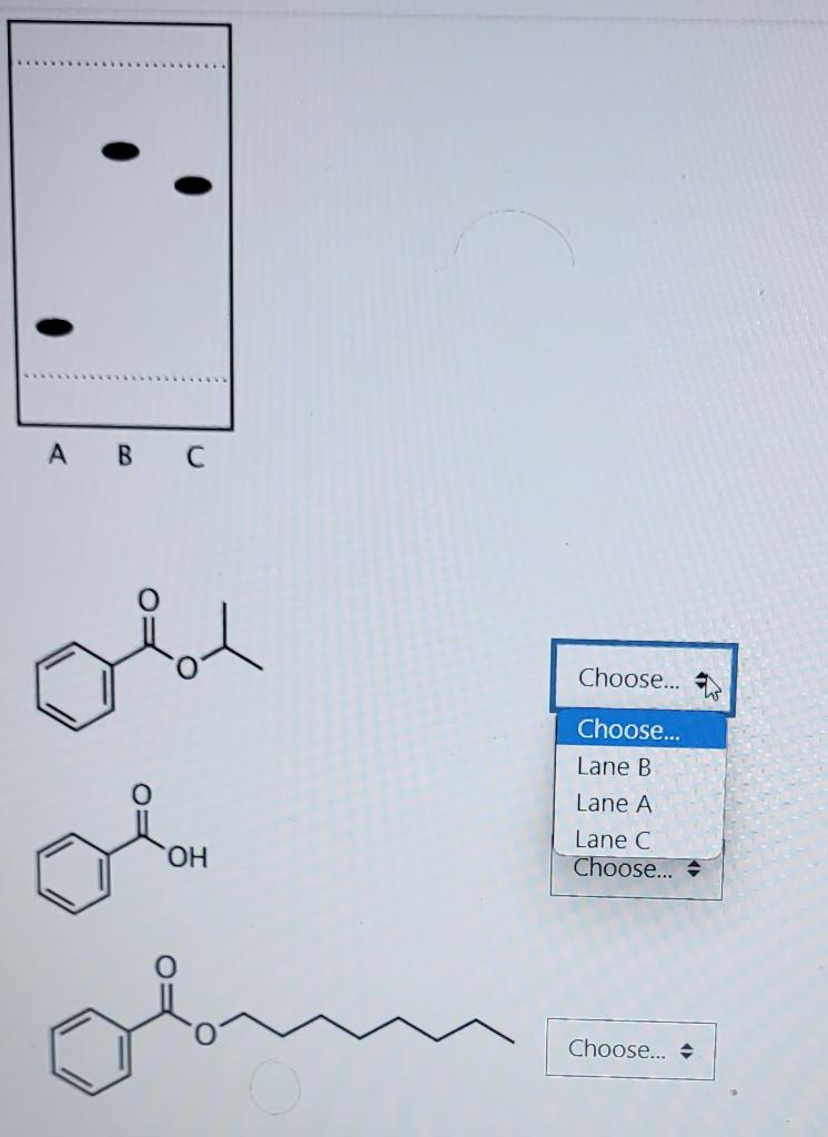 Solved Three different molecules are analyzed by TLC. Think | Chegg.com