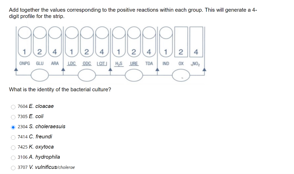 QUESTION 12 Have a look at these two images of an API | Chegg.com