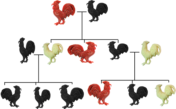Solved Based on this pedigree, is color Polygenic or | Chegg.com Solved Based on this pedigree, is color Polygenic or | Chegg.com