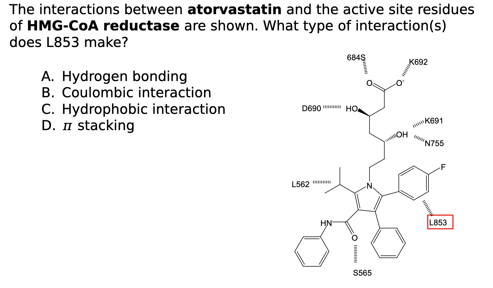 Solved The interactions between atorvastatin and the active | Chegg.com