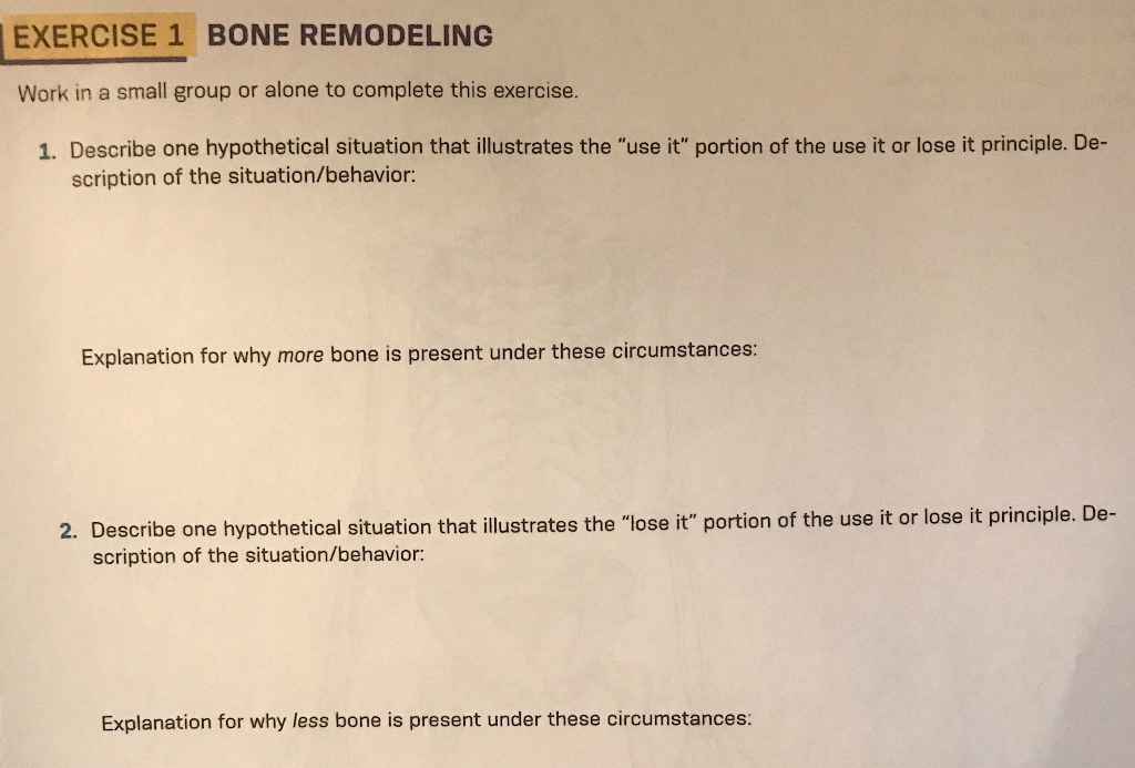Solved EXERCISE 1 BONE REMODELING Work in a small group or | Chegg.com