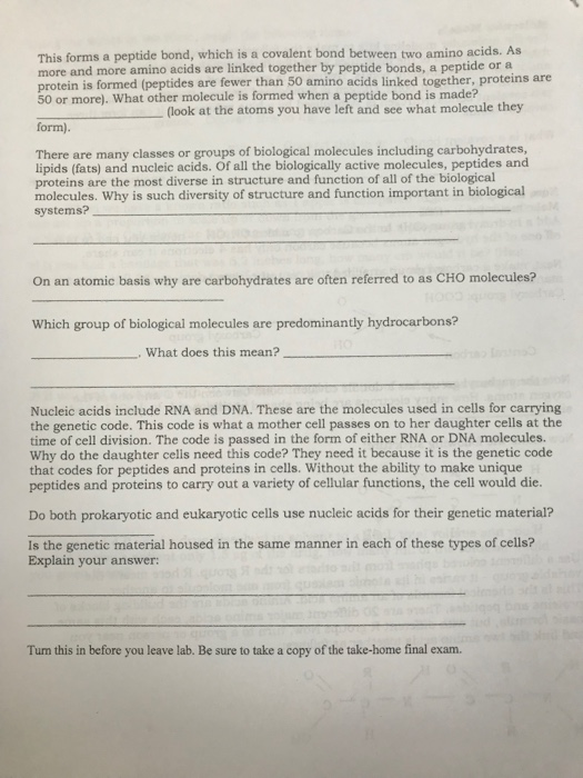 Solved Molecular Models Use the molecular modeling kits to | Chegg.com