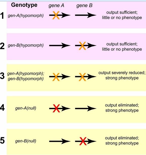 Solved Considering the results presented in the Table below, | Chegg.com