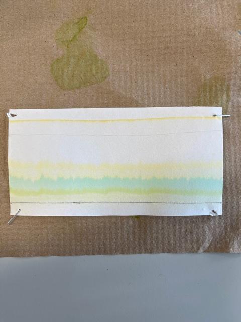 Solved After isolating pigments from spinach leaves and | Chegg.com