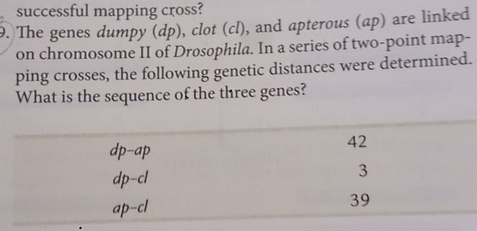 Solved successful mapping cross? . Th e genes dumpy (dp), | Chegg.com