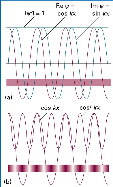 Solved Im y = ly2 = 1 Rey cos kx sin kx (a) cos kx cos2 kx | Chegg.com