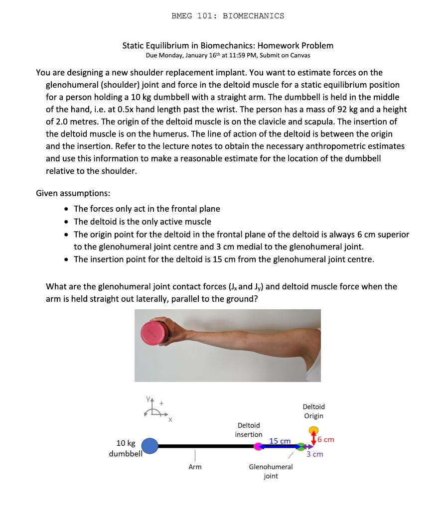 Solved BMEG 101: BIOMECHANICS Static Equilibrium in | Chegg.com